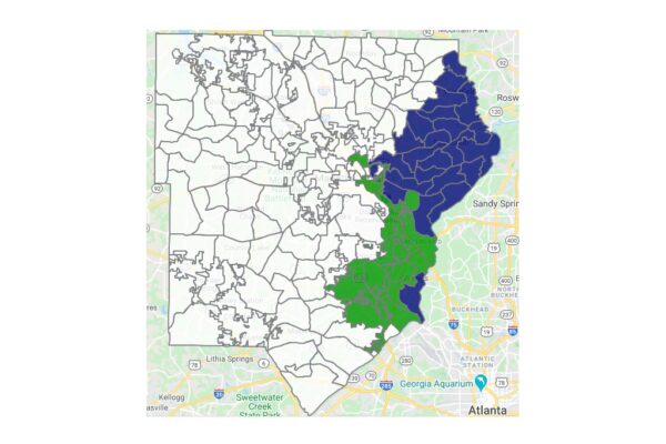Cobb Commission District 2 Election Results: A Look At The Precincts ...